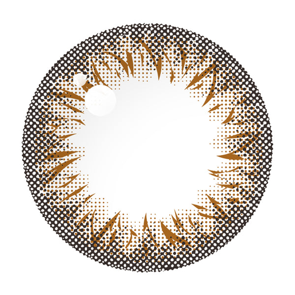 IrIs LatIn – eotd JP